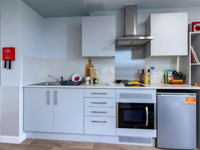 Studio to rent