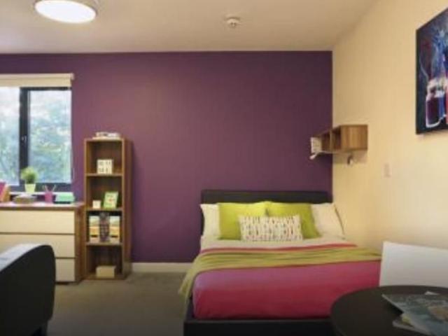Studio to rent