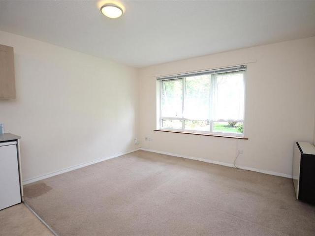 Studio to rent