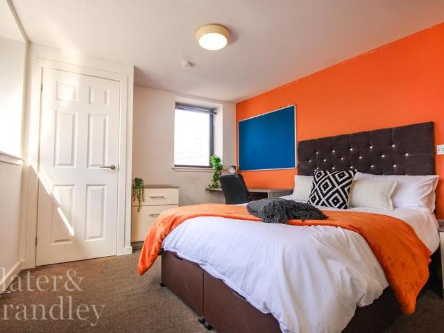 Studio to rent