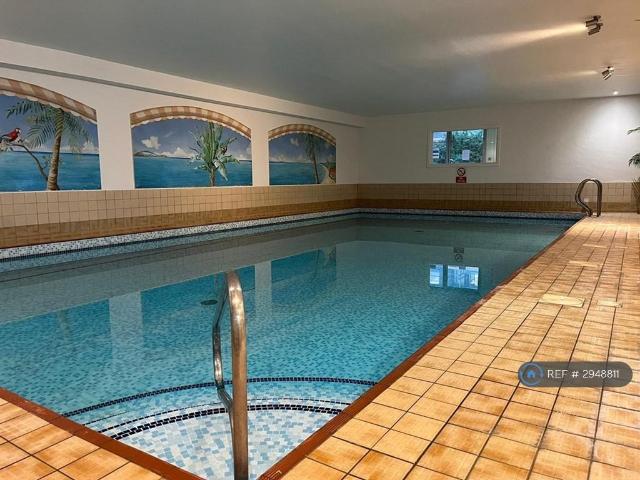 Studio to rent