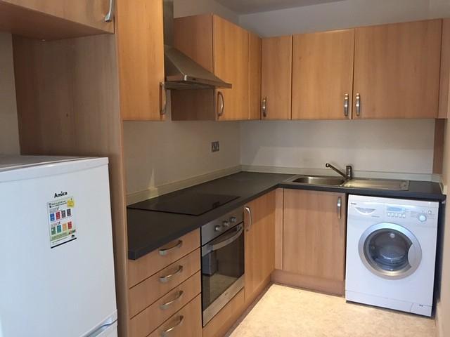 Studio to rent