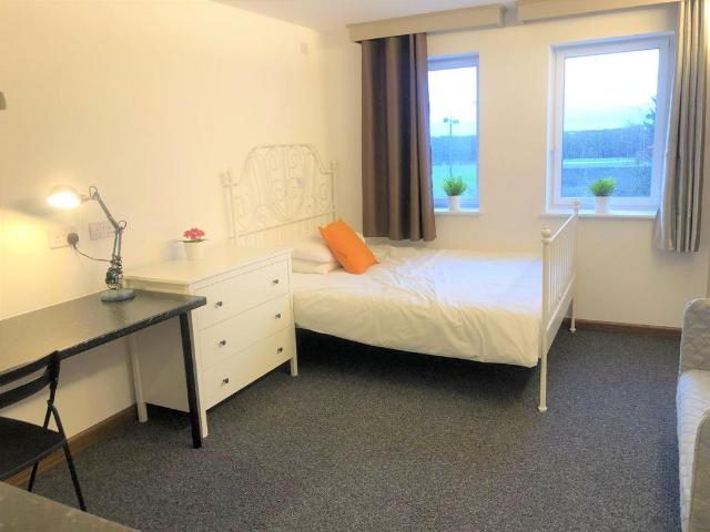 Studio to rent