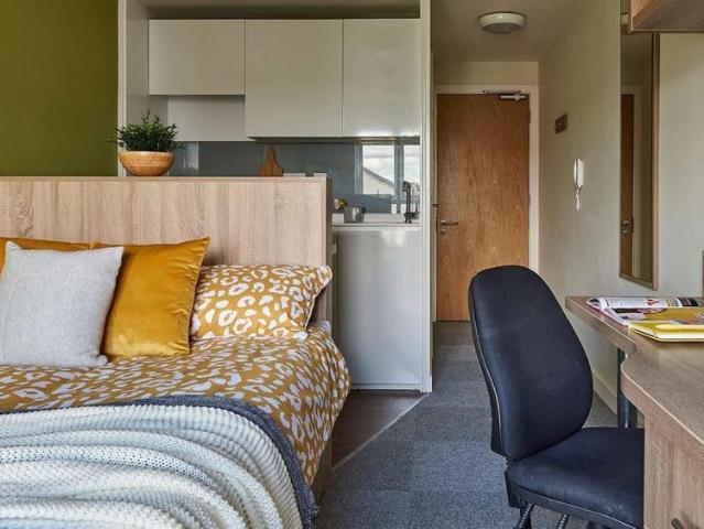 Studio to rent