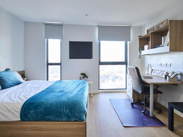 Studio to rent