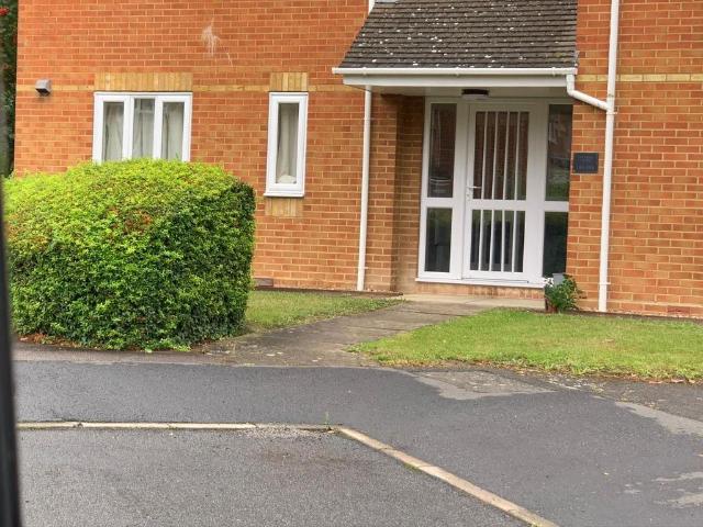 Studio to rent