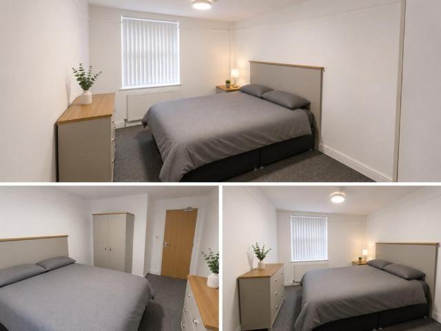 Studio to rent