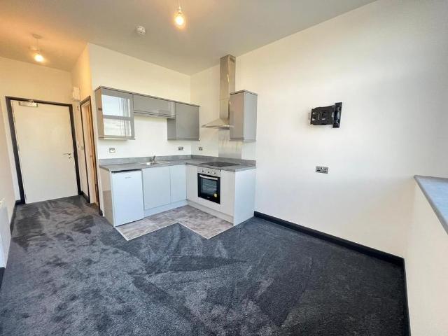 Studio to rent