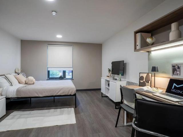 Studio to rent