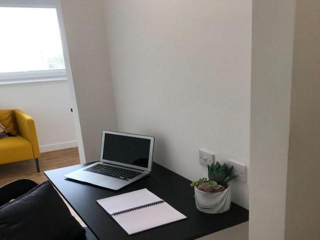 Studio to rent