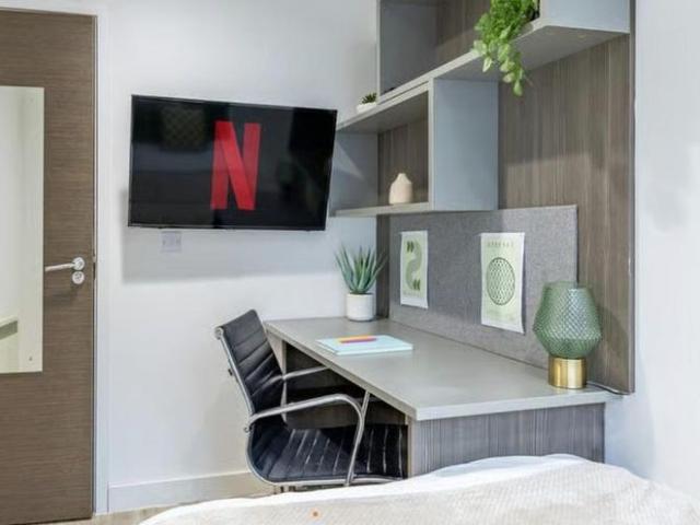 Studio to rent