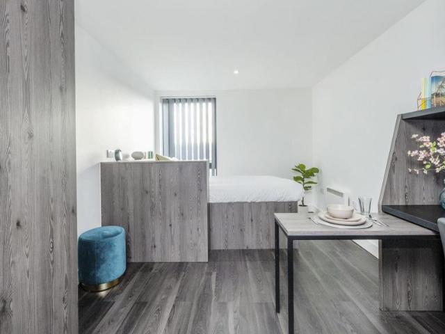Studio to rent