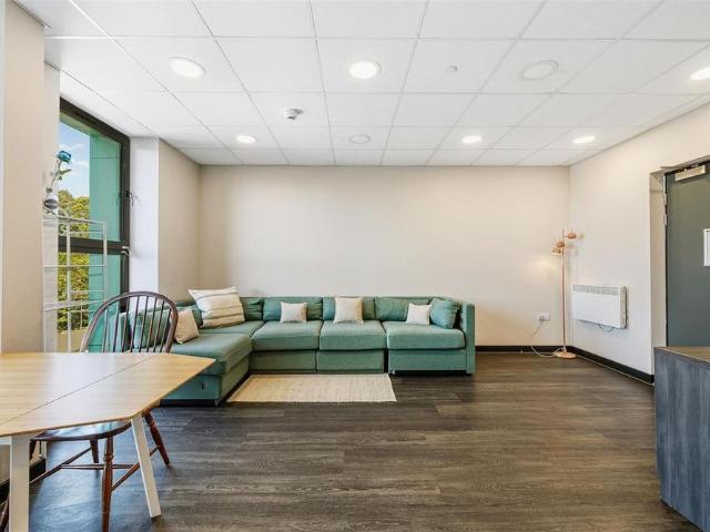 Studio to rent