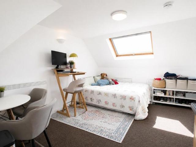 Studio to rent