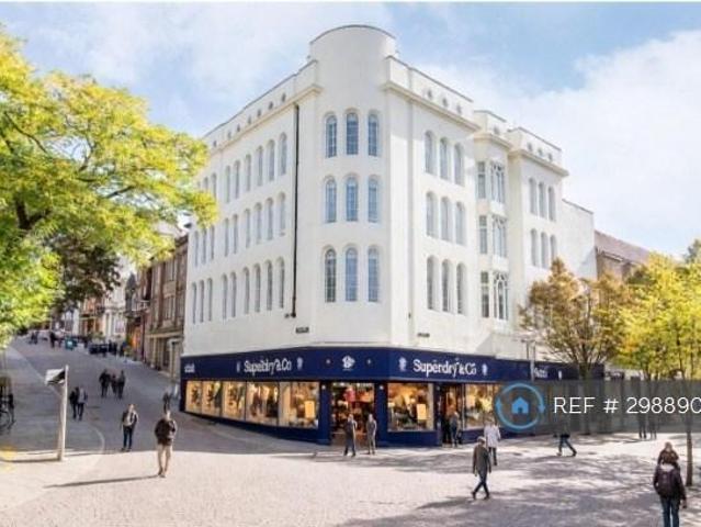 Studio to rent