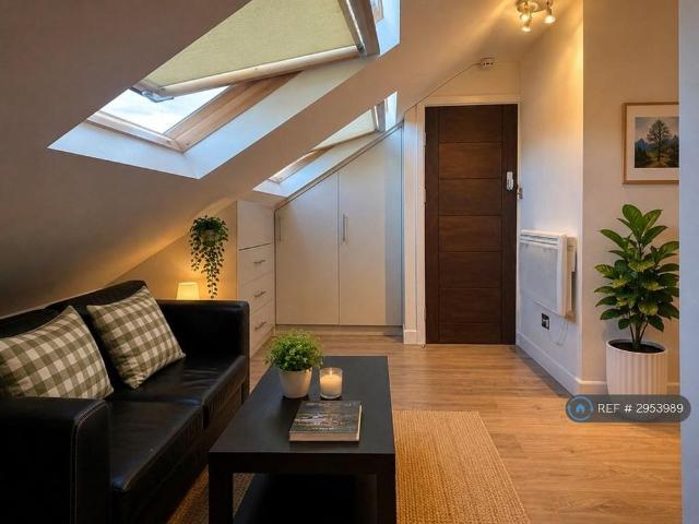 Studio to rent