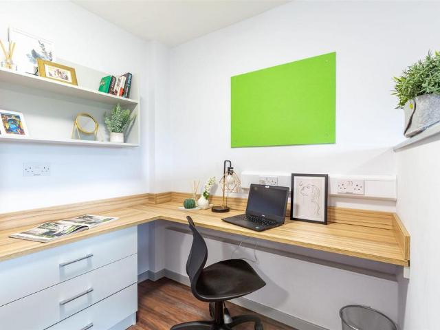 Studio to rent
