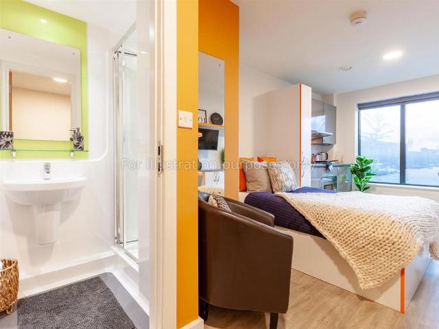 Studio to rent