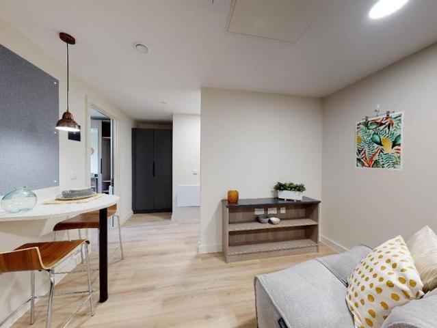 Studio to rent