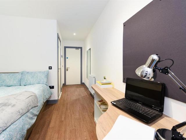 Studio to rent