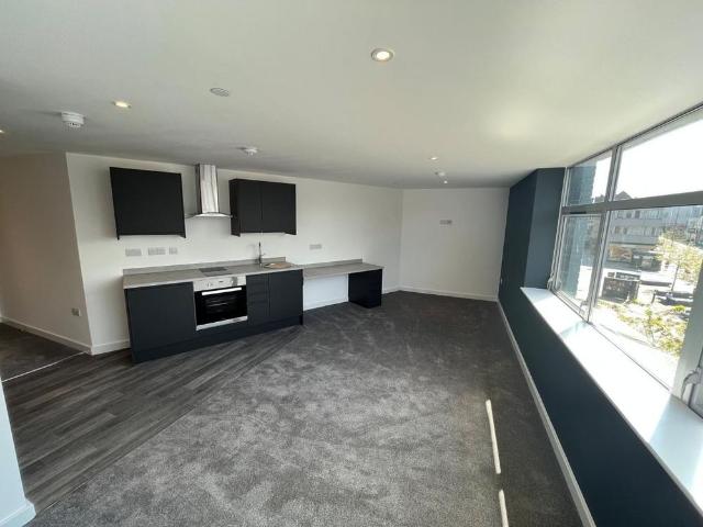 Studio to rent
