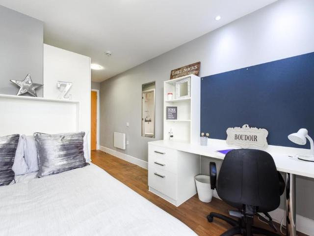 Studio to rent