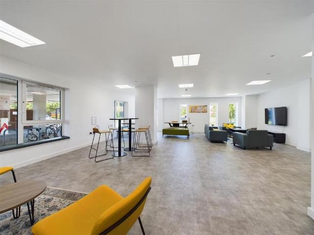 Studio to rent