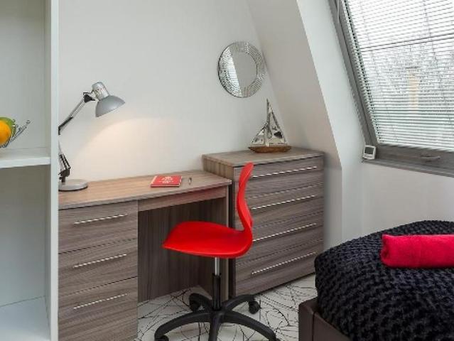 Studio to rent