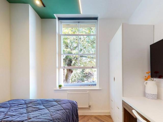 Studio to rent