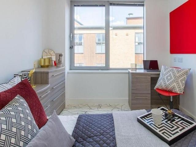 Studio to rent