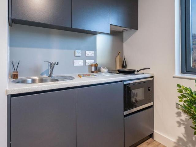 Studio to rent