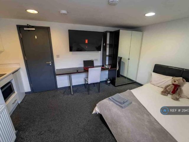 Studio to rent