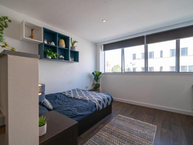 Studio to rent