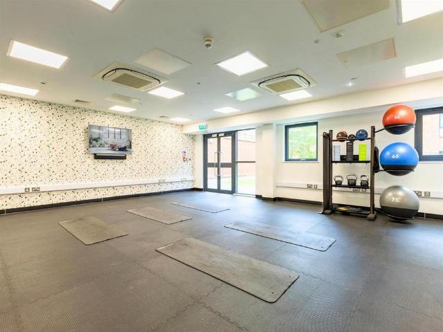 Studio to rent