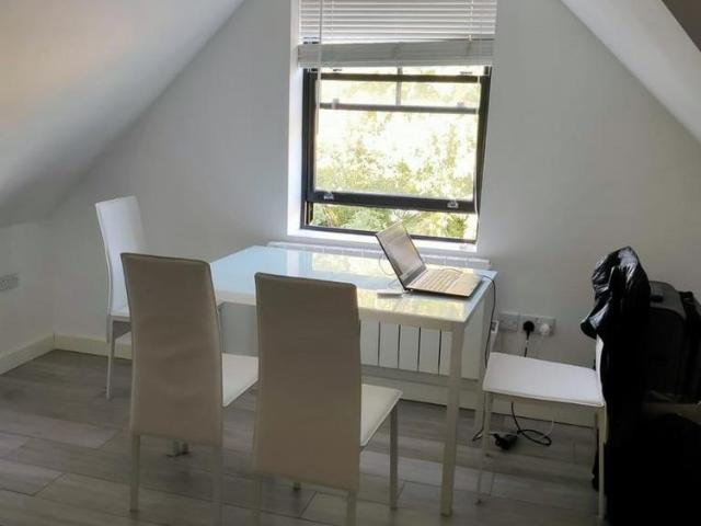 Studio to rent