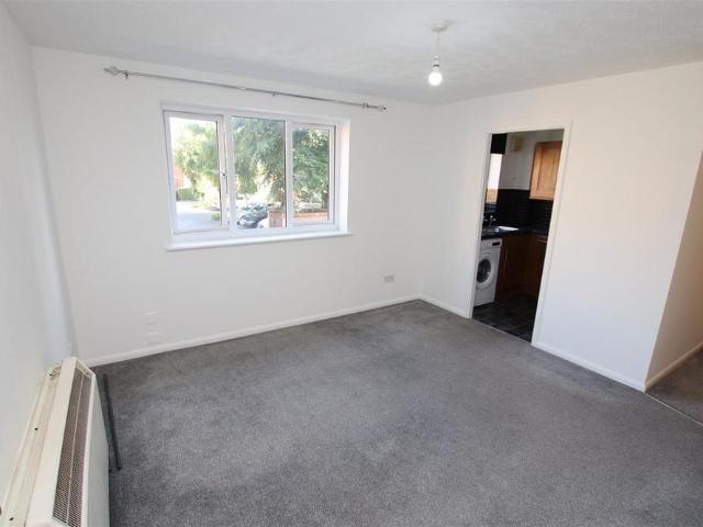 Studio to rent