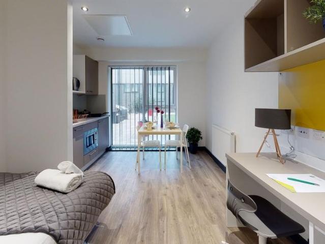 Studio to rent