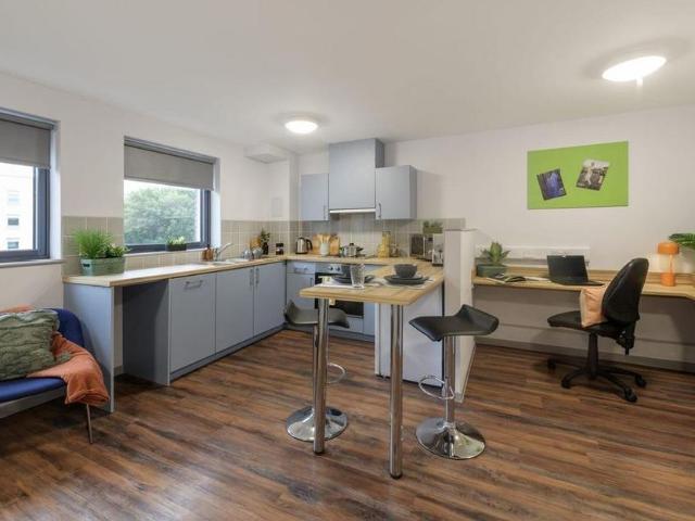 Studio to rent