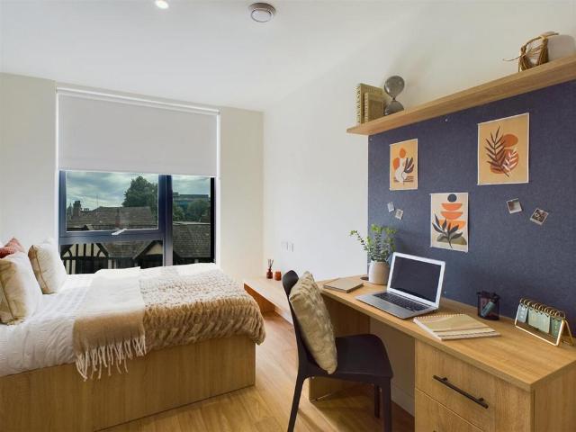 Studio to rent