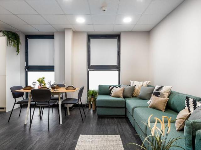 Studio to rent