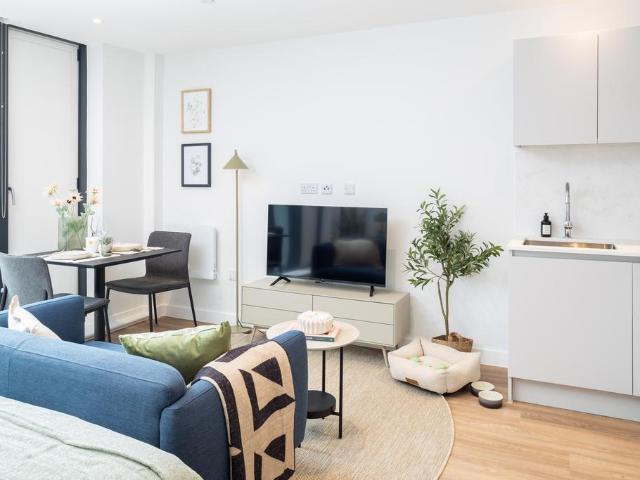 Studio to rent