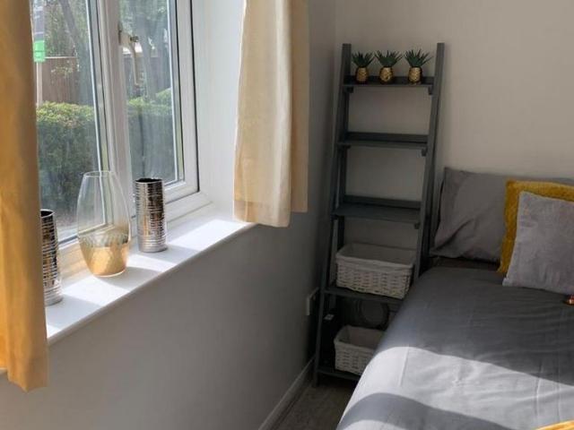 Studio to rent
