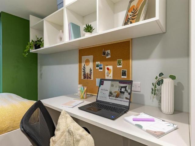 Studio to rent
