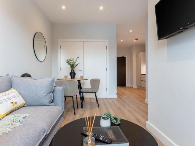 Studio to rent