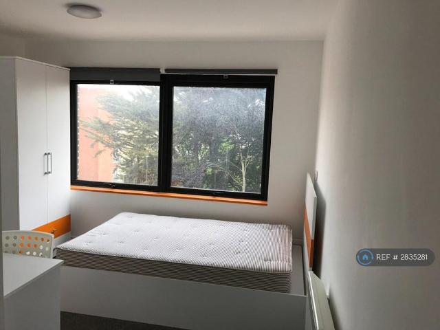 Studio to rent