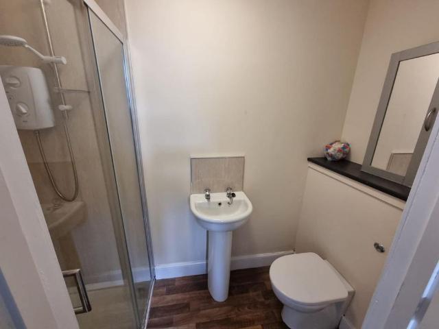 Studio to rent