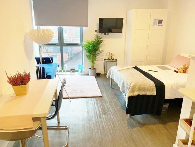 Studio to rent