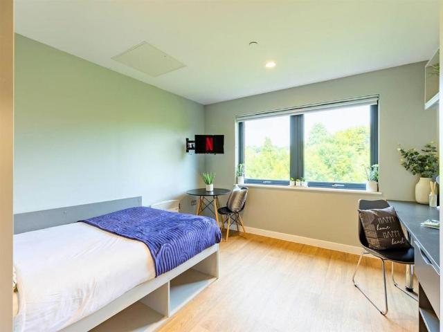 Studio to rent