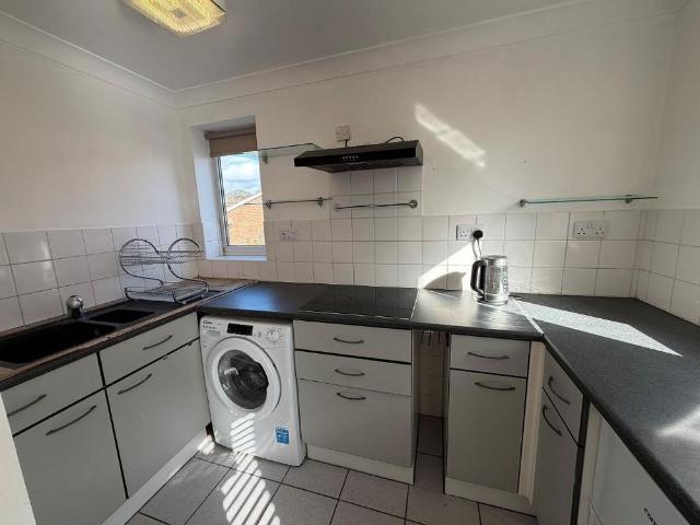 Studio to rent