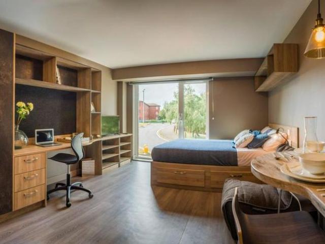 Studio to rent
